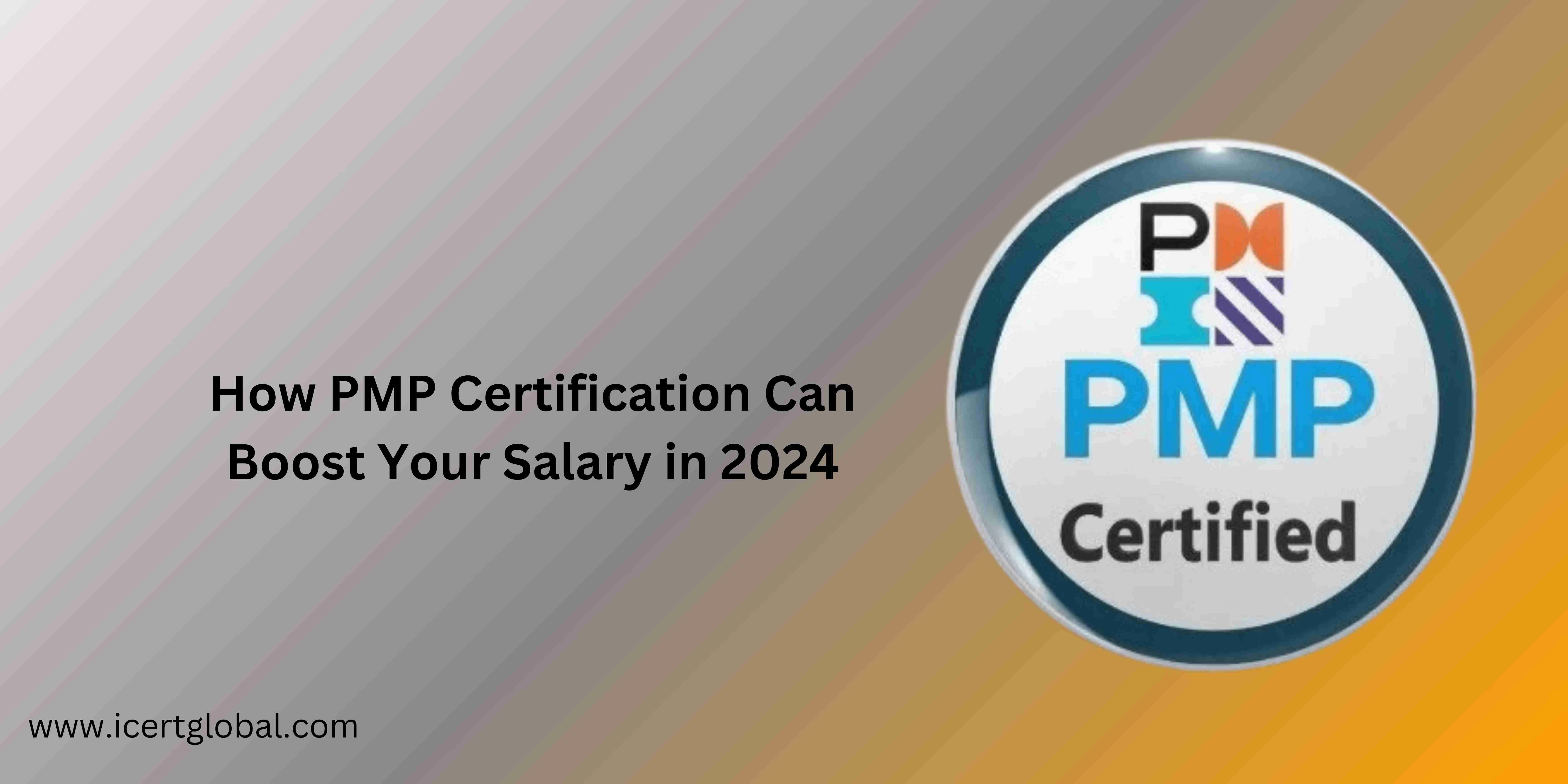 What Is Pmp?